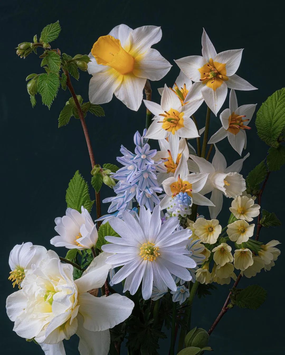 Countless flowers, countless beauty - iNEWS