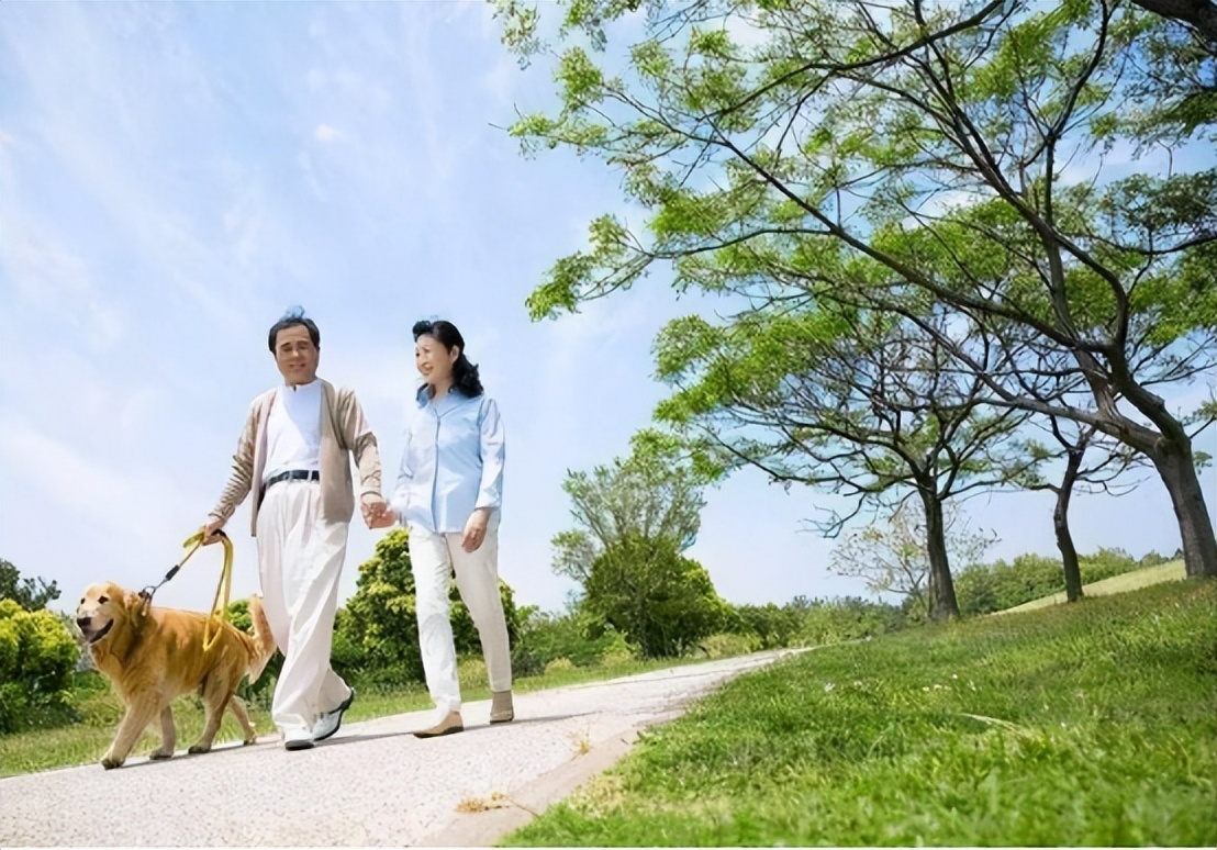 Is walking the best way to exercise?What happens to the body of those ...