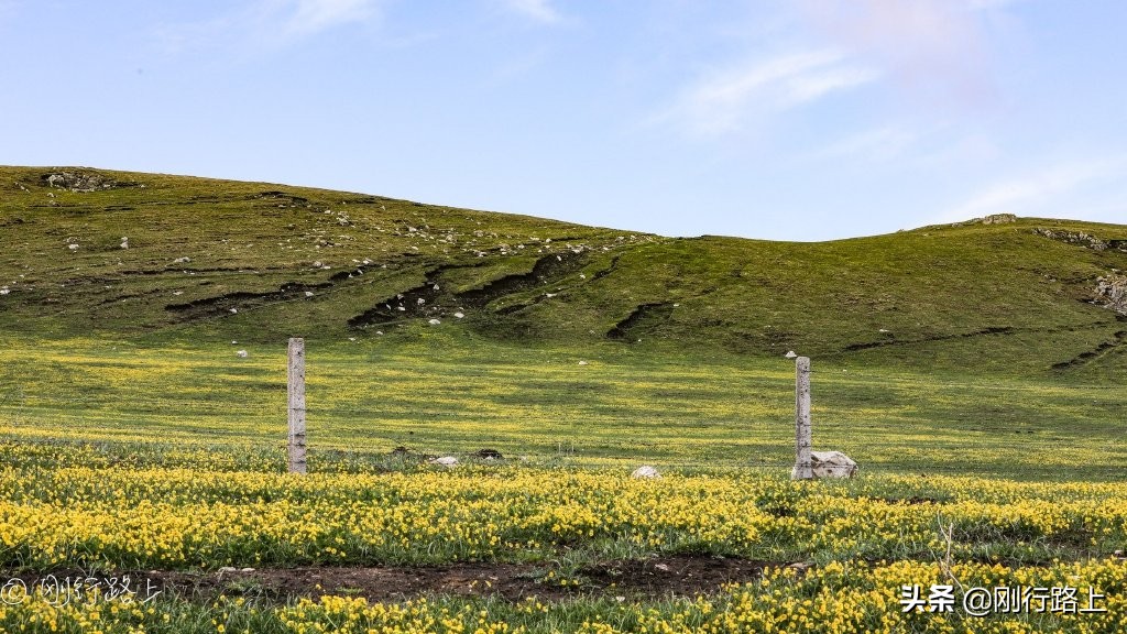 The Kalajun prairie in summer is an extremely romantic summer resort ...