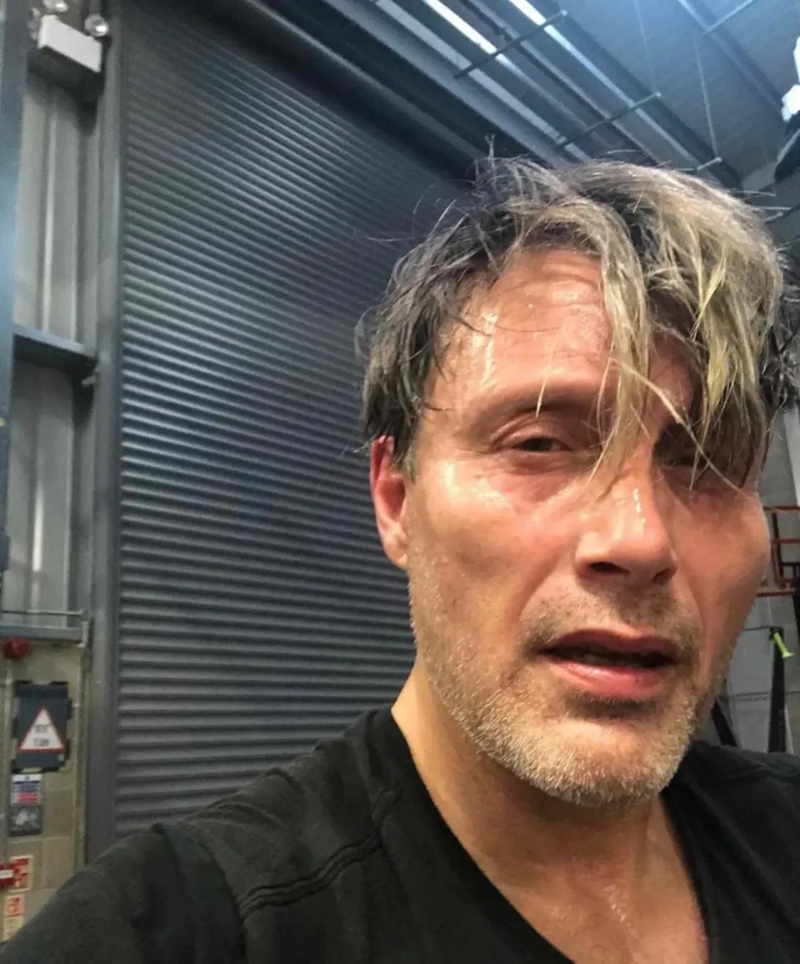 European and American Star Atlas - Max Mickelson - iNEWS