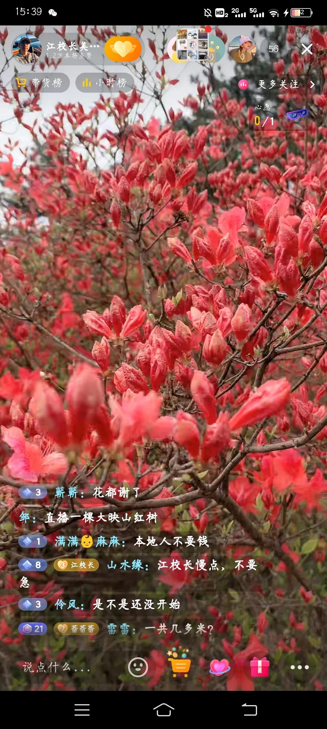 -Guifeng Mountain Fu - iNEWS